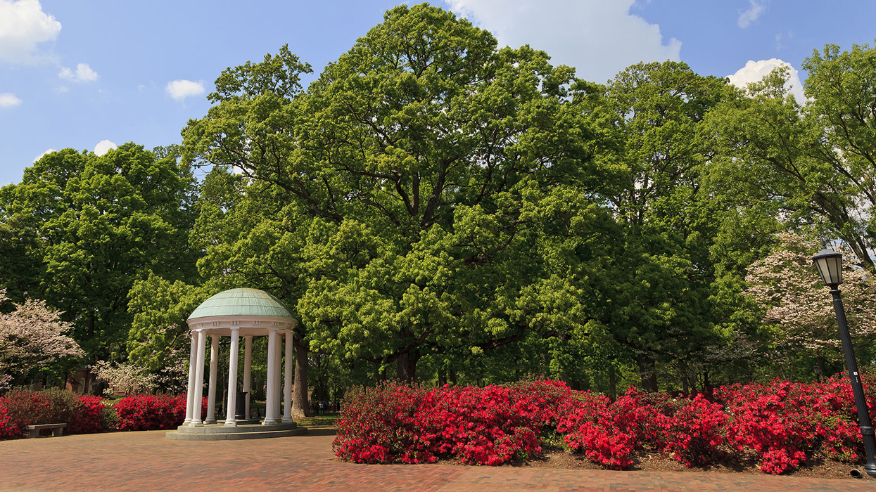 Supporting Strategies | Durham & Chapel Hill, NC